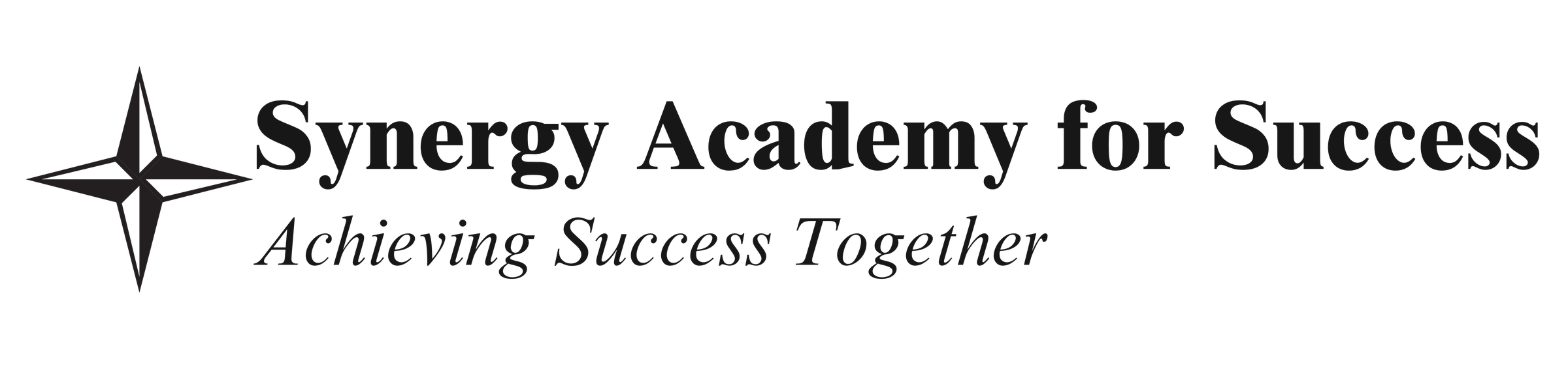 Synergy Academy for Success logo